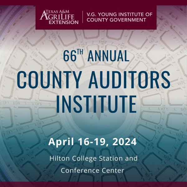 Texas Association of County Auditors